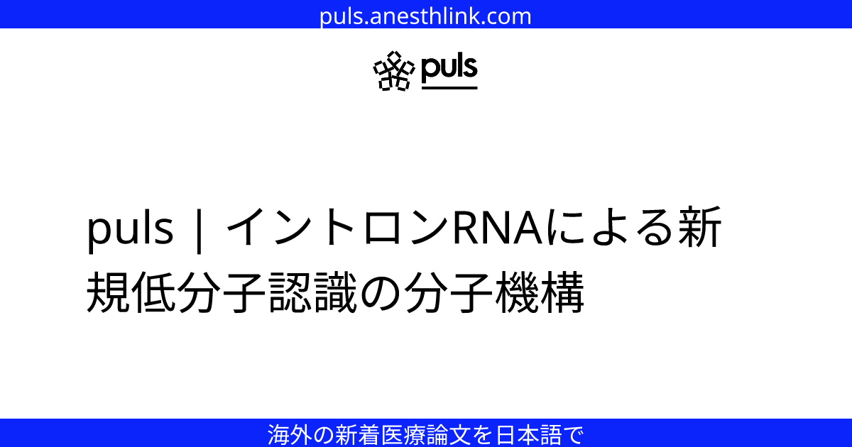 puls | イントロンRNAによる新規低分子認識の分子機構